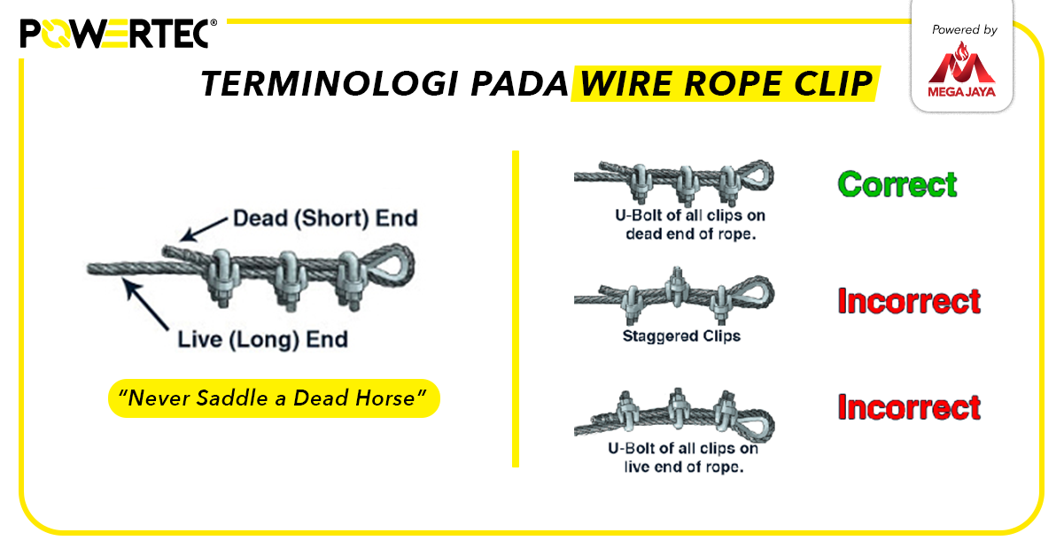 Panduan Mengenal Jenis, Ukuran, Kapasitas, serta Fungsi dari Wire Rope Clip