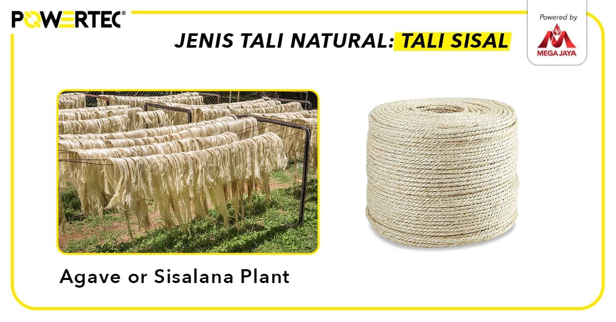 Ketahui Jenis-jenis Tali Natural: Manila, Sisal, Cotton, Jute, Rami