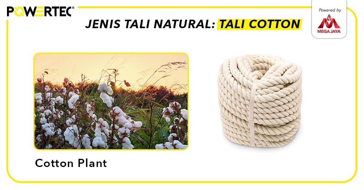 Ketahui Jenis-jenis Tali Natural: Manila, Sisal, Cotton, Jute, Rami